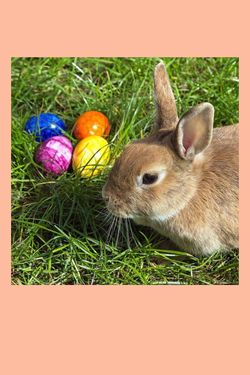 Book Creator | Easter and spring