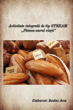 Book Creator | Activitate de tip STREAM