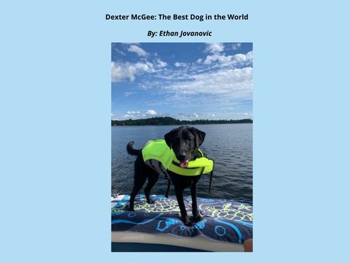 Book Creator | Dexter McGee: The Best Dog in the World