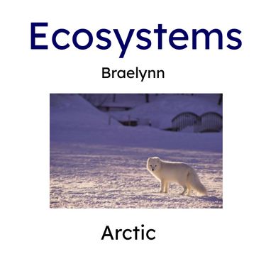 Book Creator | 2nd Grade Ecosystems