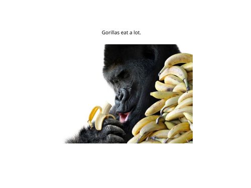 Book Creator | All About Gorillas