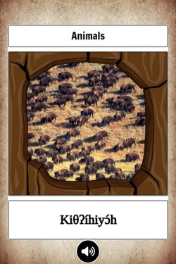 Book Creator | Animals