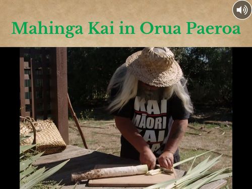 Book Creator | (copy) Mahinga Kai in Orua Paeroa