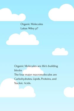 Book Creator | Organic Molecules