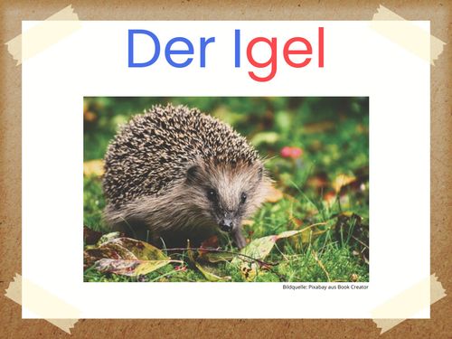 Book Creator | Der Igel