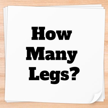 Book Creator | How Many Legs