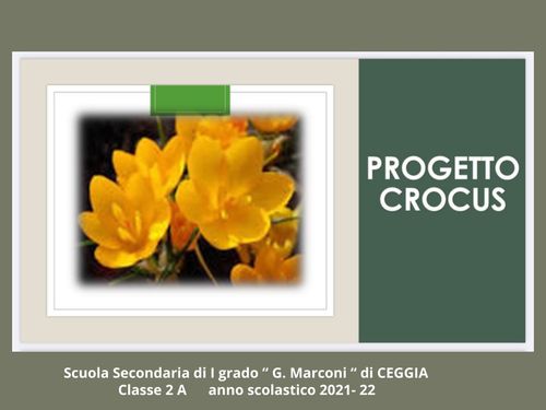 Book Creator | Progetto CROCUS