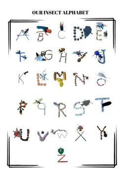 Book Creator | OUR INSECT ALPHABET