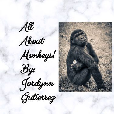 Book Creator | All About Monkeys