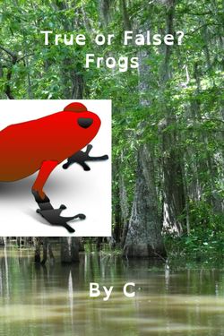 Book Creator | C's true or false book