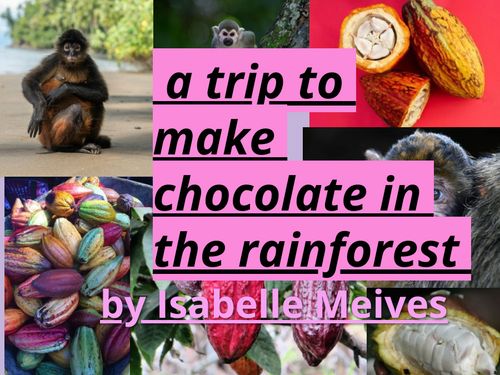 Book Creator | A Trip to Make Chocolate in the Rainforest