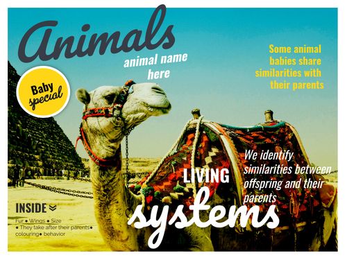 Book Creator | Animal offspring