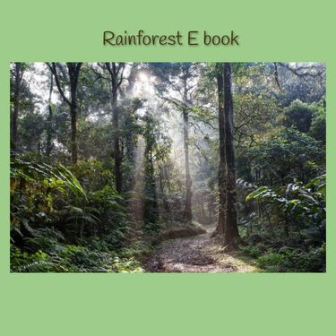 Book Creator | Ellie Sutton