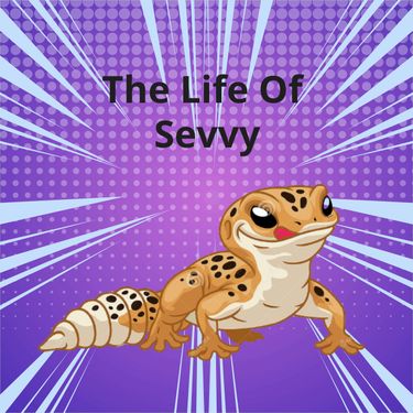 Book Creator | The Life Of Sevvy