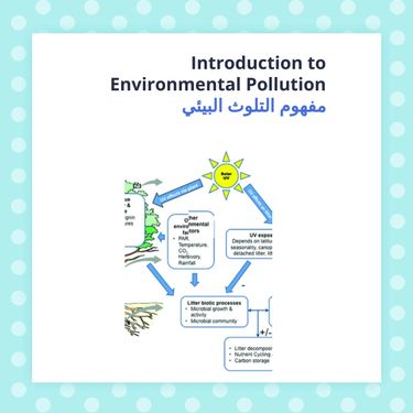 Book Creator | Introduction to Environmental Pollution