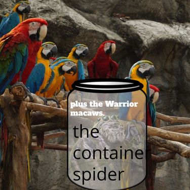 Book Creator | The Container Spider