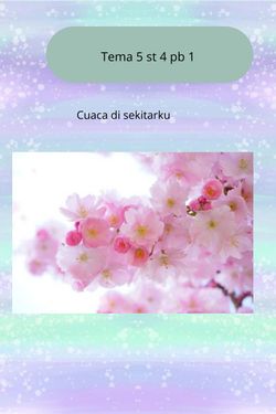 Book Creator | Tema 5 st 4 pb 1