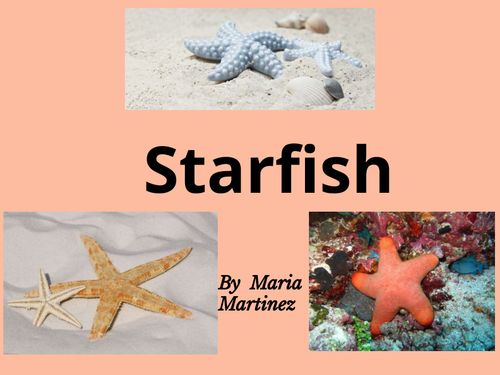 Book Creator | Starfish
