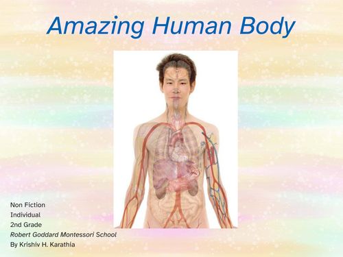 Book Creator | Amazing Human Body