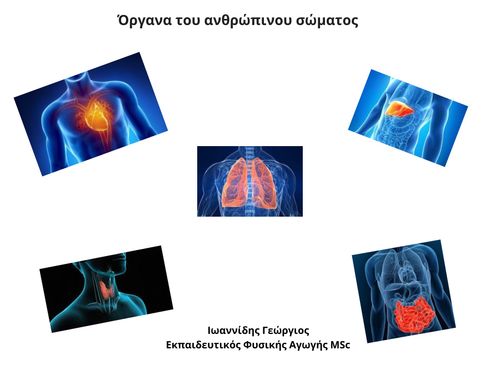 Book Creator | Βασικά όργανα του ανθρωπίνου σώματος
