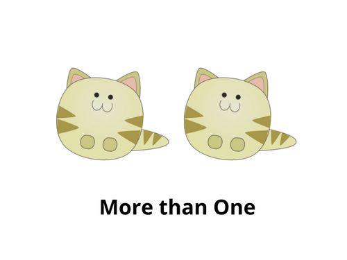 Book Creator | More than One