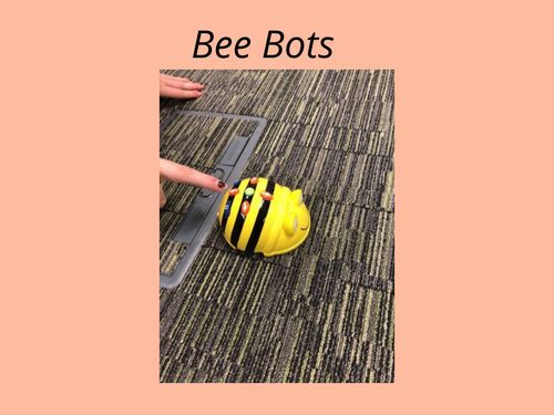 Book Creator | Beebot