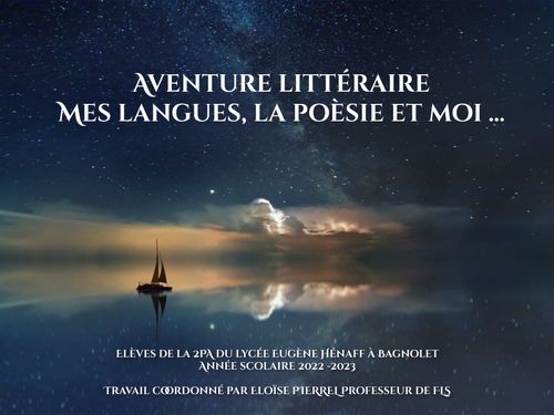 Book Creator | Aventure littéraire : Mes langues, la poésie et moi