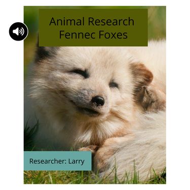 Book Creator | Fennec Foxes