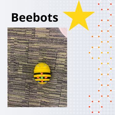Book Creator | Beebot's Journey