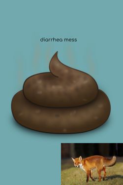 Book Creator | diarrhea mess