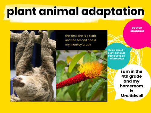Book Creator | Plant and Animal Adaptation Research