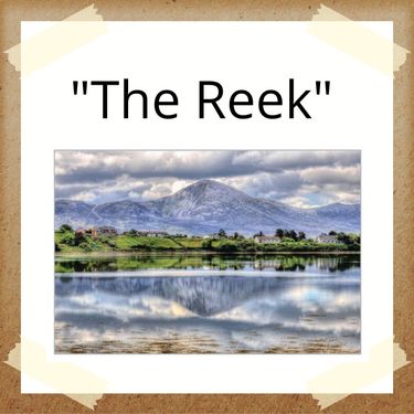 Book Creator | "The Reek"