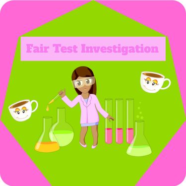 Book Creator | Fair Test Investigation