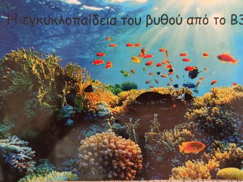 Book Creator | Η εγκυκλοπαίδεια του βυθού