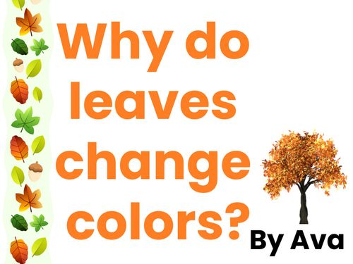 Book Creator | Why Do Leaves Change Colors?