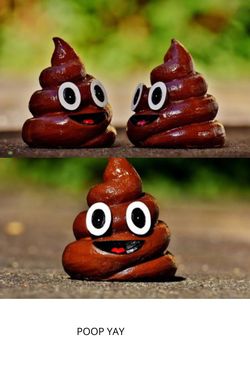 Book Creator | POOP YAY!