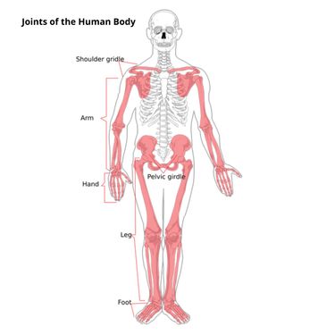 Book Creator | The joint