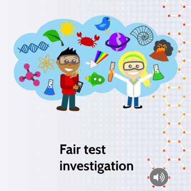 Book Creator | Fair test investigation