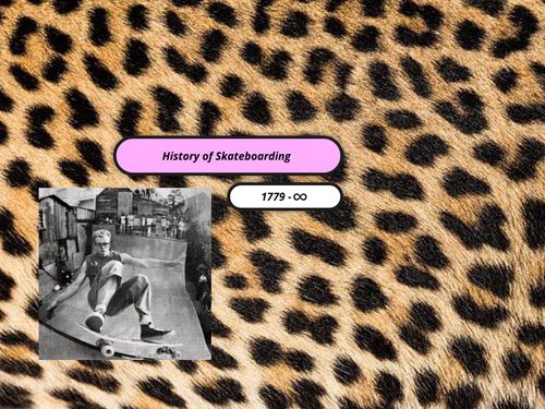 Book Creator | History of Skateboarding
