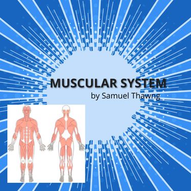 Book Creator | Muscular System