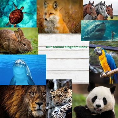 Book Creator | Animal Kingdom