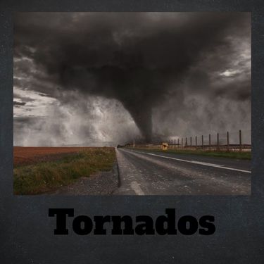 Book Creator | Tornado
