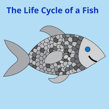 Book Creator | LIFE CYCLE FISH