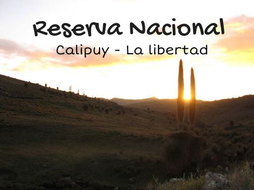 Book Creator | Reserva Nacional de Calipuy - La libertad