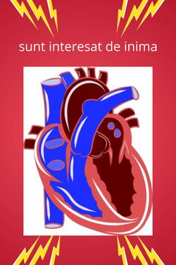 Book Creator | inima