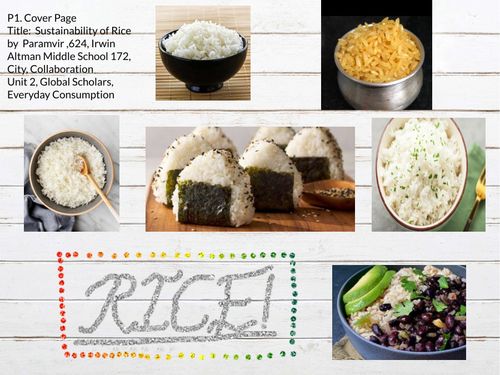 Book Creator | 624 Rice Photo Journal