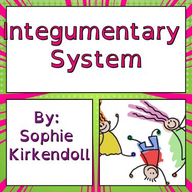 Book Creator | Integumentary System