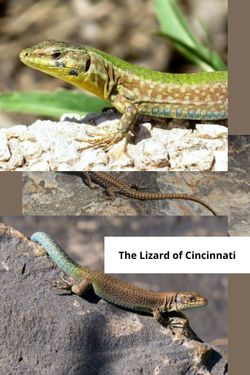 Book Creator | The Lizard of Cincinnati
