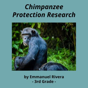 Book Creator | Chimpanzee Protection Research