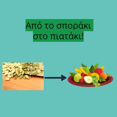Book Creator | Από το σποράκι στο πιατάκι!